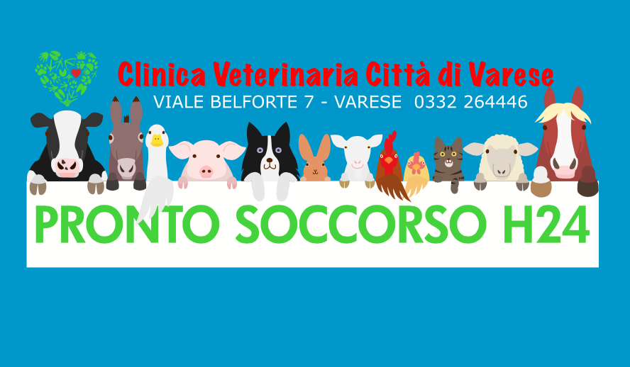 Clinica Veterinaria città di Varese – Direttore Sanitario Dott.ssa ...